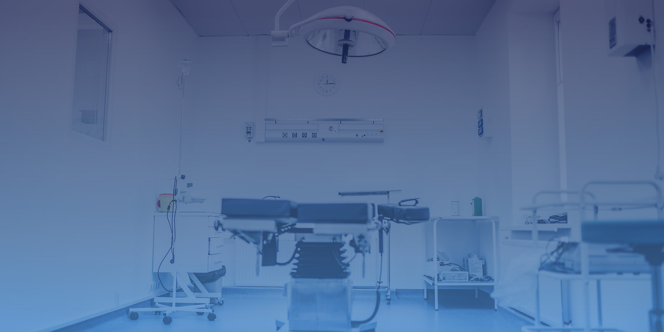 Healthcare and social assistance - Biosymm